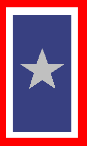 Silver Star Families of America (U.S.) - Fahnen Flaggen Fahne Flagge ...